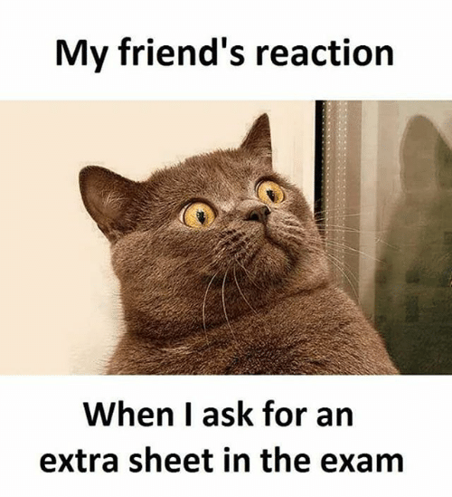 Me After Exam Results – 5 Funny Exam Memes to Reduce Some Stress – Picshood