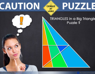 What you called it? Genius Triangle Puzzle? Solve this Fun Brain Teasers Puzzles – Picshood